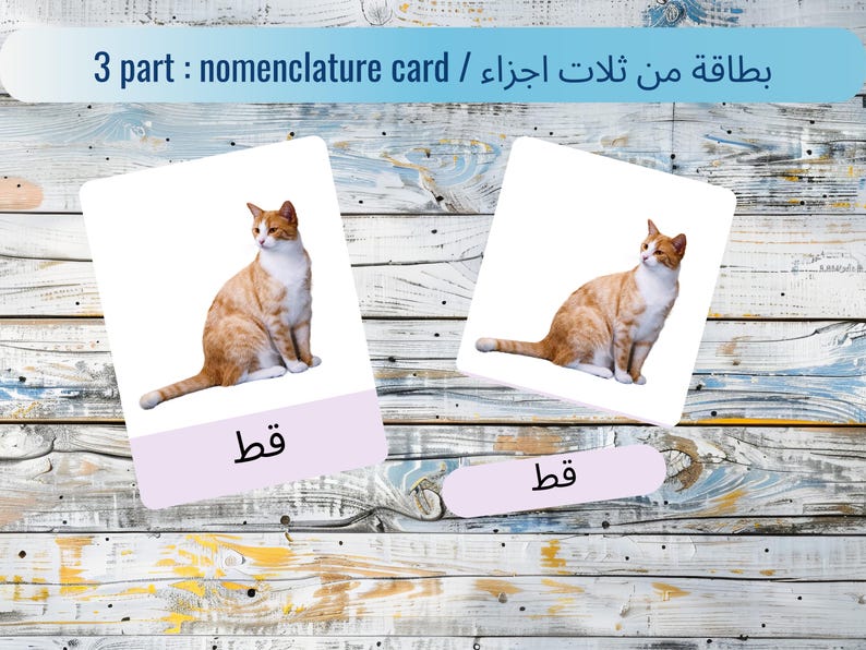 FARM ANIMALS ARABIC | Montessori 3-part Cards + 10 Coloring Pages in ...