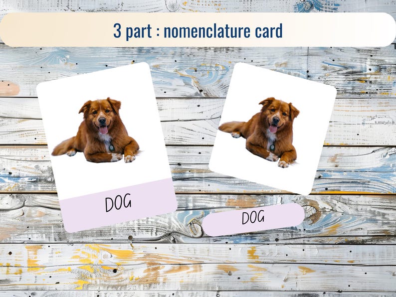 Printable and Editable Montessori Farm Animal Flashcards | 26 ...