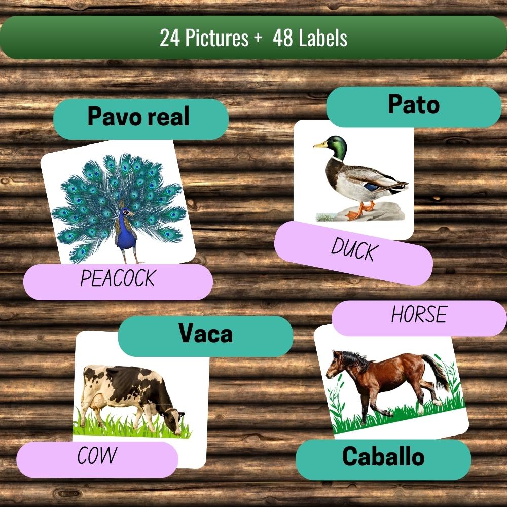 24 Bilingual Montessori Farm Animal Cards SPANISH-ENGLISH + 12 Quizzes ...