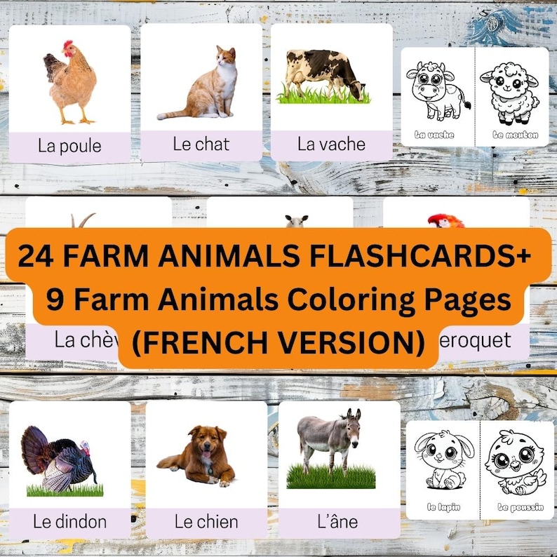 FARM ANIMALS FRENCH Version | 24 Montessori 3-part Cards + 9 Coloring ...