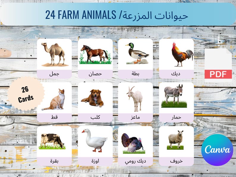 FARM ANIMALS ARABIC | Montessori 3-part Cards + 10 Coloring Pages in ...