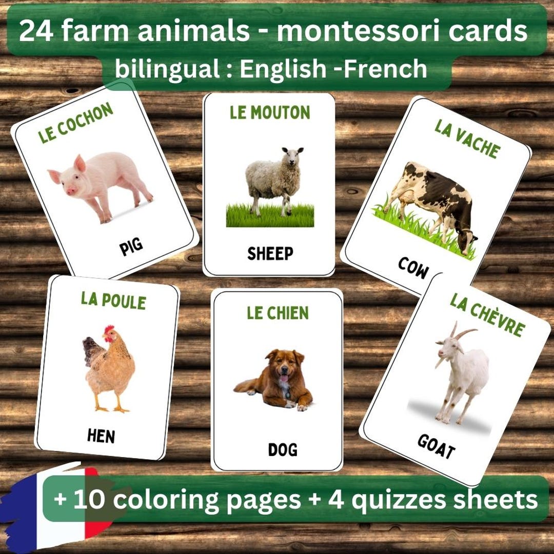 24 Bilingual Montessori Farm Animal Cards French-english + 12 Quiz ...