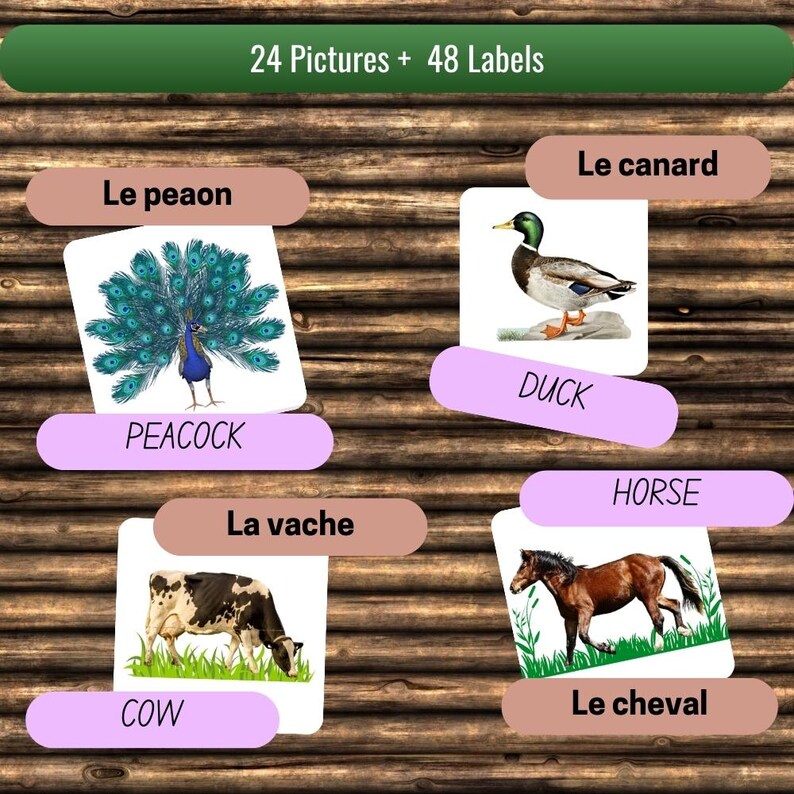 24 Bilingual Montessori Farm Animal Cards French-english + 12 Quiz ...