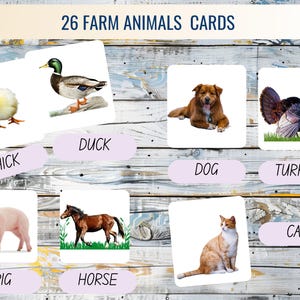Printable and Editable Montessori Farm Animal Flashcards | 26 ...