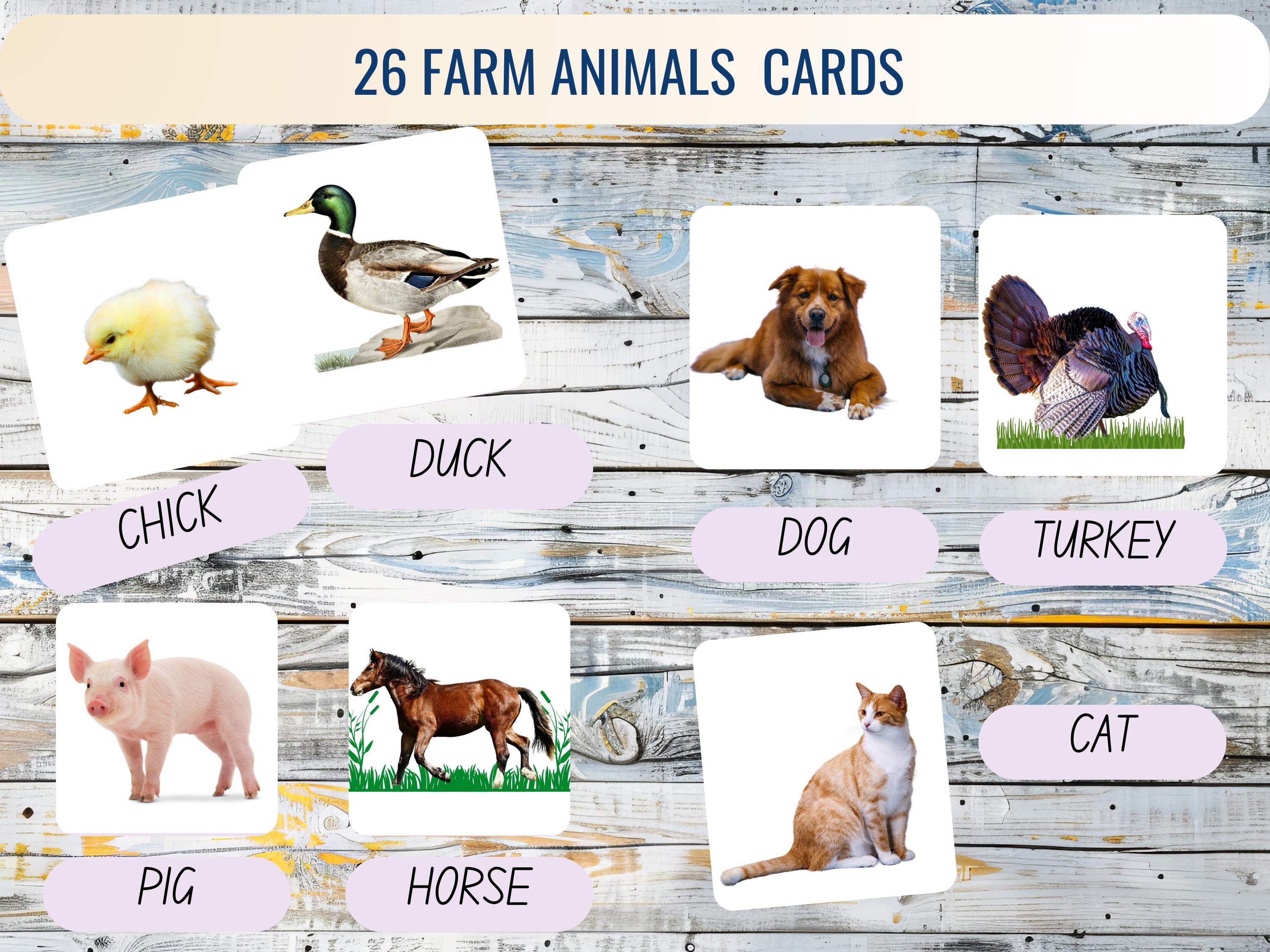 Printable and Editable Montessori Farm Animal Flashcards | 26 ...