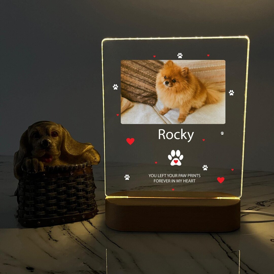 Custom Pet Paw Acrylic Night Light, Personalized Block Sign With Pets ...