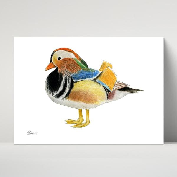 Mandarin Duck Art - Etsy