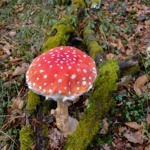 Mushroom Hat Cosplay - Etsy