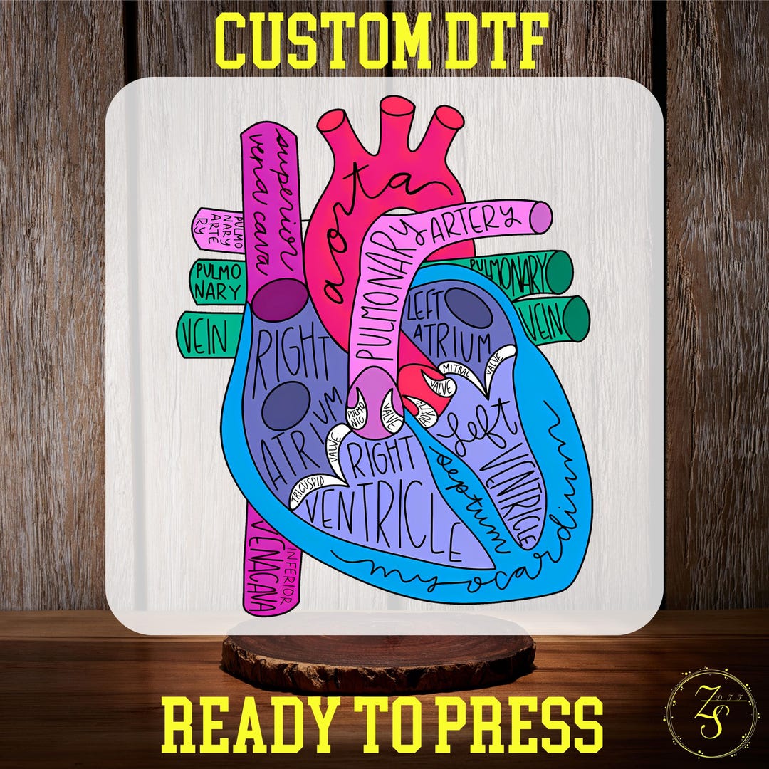Heart Anatomy DTF Transfer, Cardiac Nursing Shirt Tranafer ...