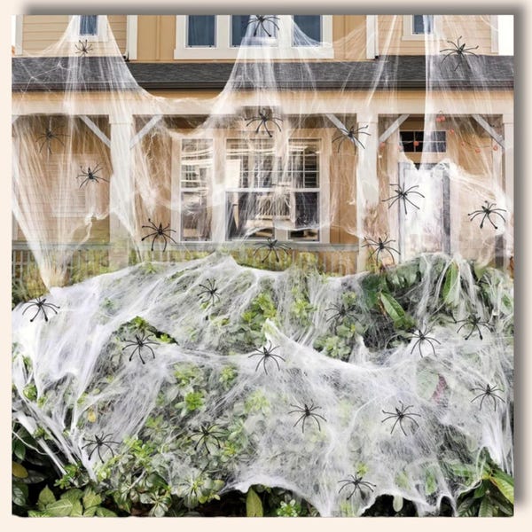 Spider Web Decor - Etsy