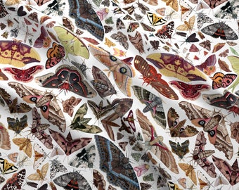 Insect fabric | Etsy