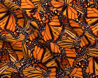 Pagan Fabric It's Witchcraft Evovled By | Etsy