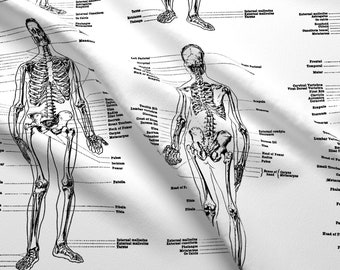Anatomy fabric | Etsy