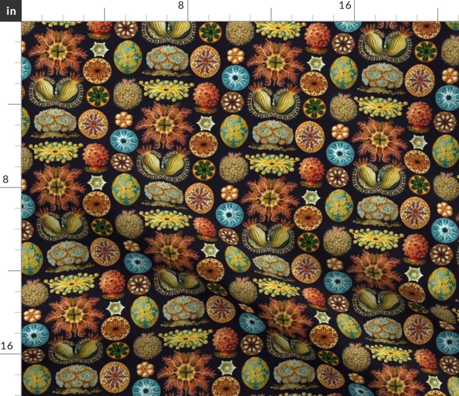 Haeckel Fabric Haeckel Ascidiae Sea Squirts By | Etsy