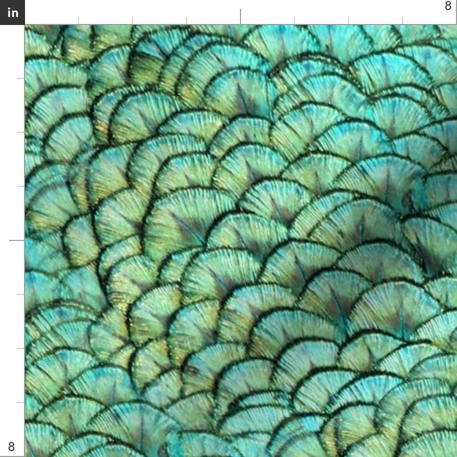 Green Peacock Fabric Peacocks Have Fab Pads by - Etsy