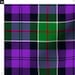 Colquhoun Fabric - Colquhoun Tartan Variant, 6" Modern Green/purple by ...