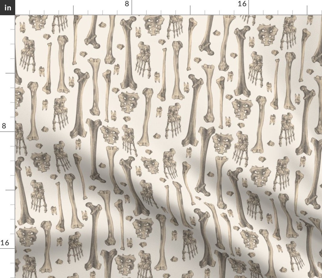 Bones Fabric Bones by Deborahballingerillustrations Bones Teeth Femur ...