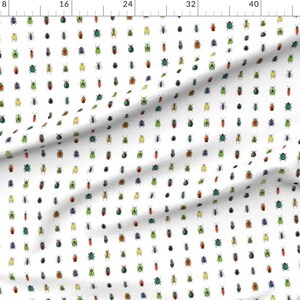 Beetle Fabric - Beetlemania on White by Jellymania -beetles Insects ...