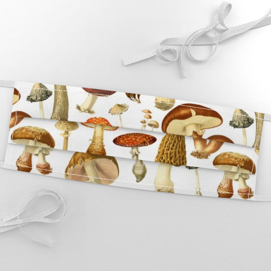 Mushroom Fabric Vintage Botanical Fungus Lg. by | Etsy Canada