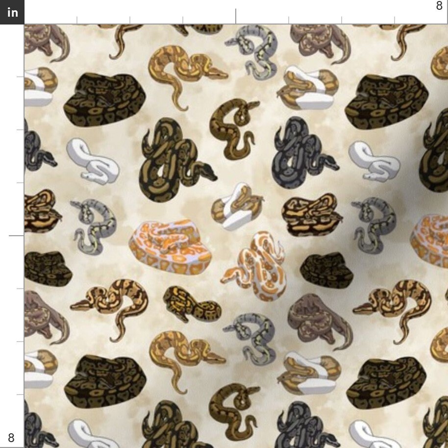 Ball Python Morphs Chart