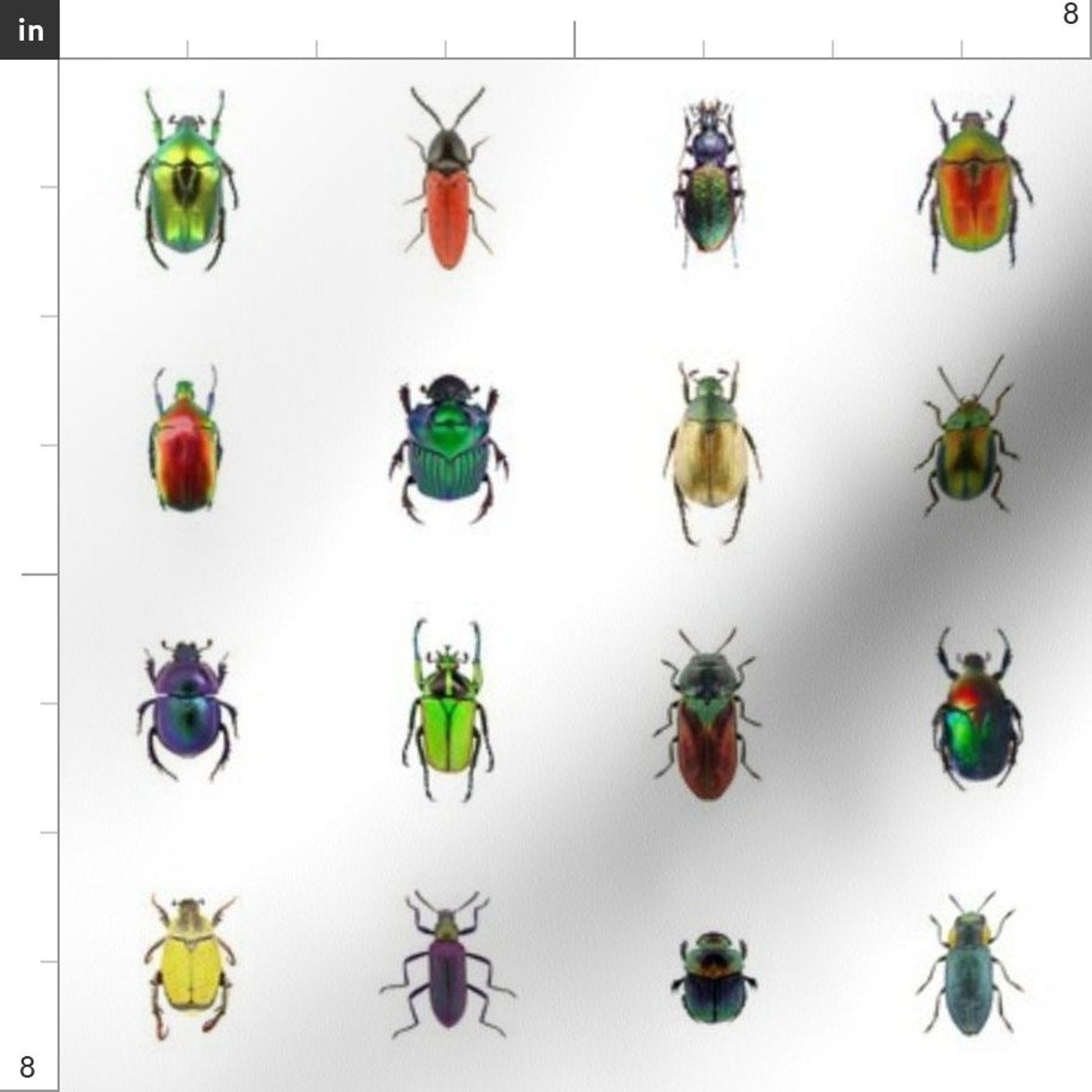 Beetle Fabric Beetlemania on White by Jellymania beetles - Etsy