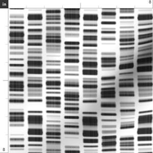 DNA Fabric - Dna Print by Bonnie Phantasm - Geek Science Biology ...