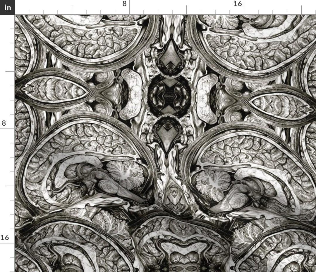 Brains Fabric Half A Brain Anatomical Cross-section X Ray MRI Cerebral ...