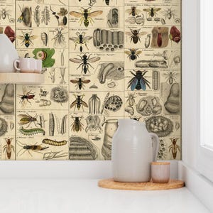 Insects Wallpaper - Bugging Out by Peacoquettedesigns - Entomology ...