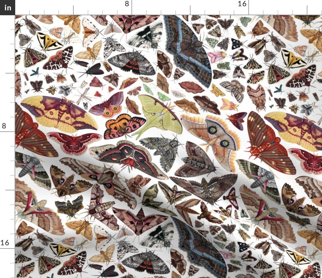 Moth Fabric Moths of North America by Jadafitch Moth Wings | Etsy