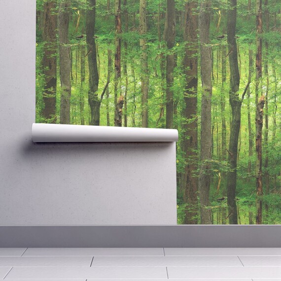 Trees Wallpaper Forest For The Trees By Peacoquettedesigns | Etsy