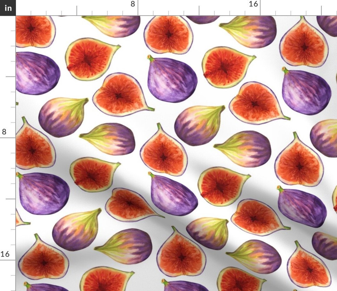 Fun Fig Fabric Figs by Svetlana Prikhnenko Watercolor - Etsy
