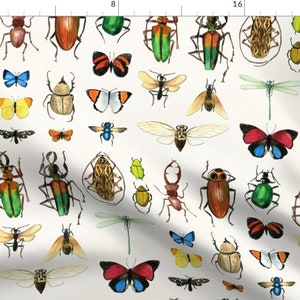 Insects Fabric the Usual Suspects by Cecca Insects Bug Collection ...