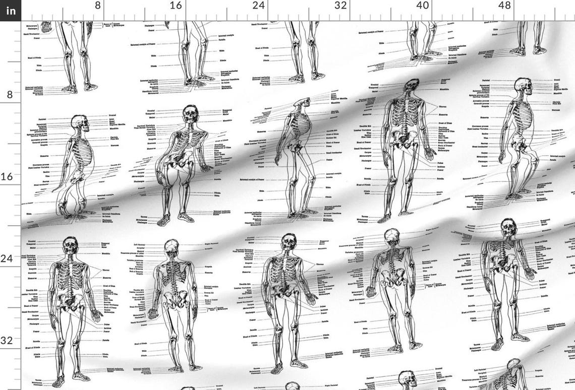 Skeleton Fabric - Anatomical Study of A Skeleton by Weavingmajor ...