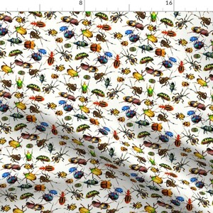 Beetles Fabric Beetles on White by Whimzwhirled Beetles - Etsy