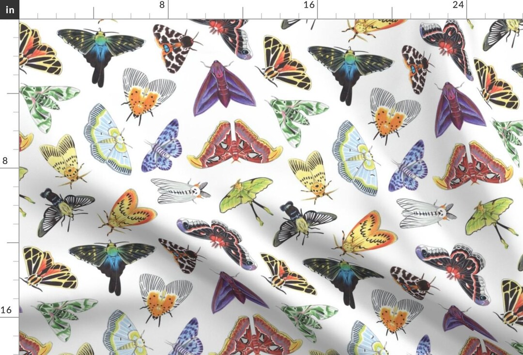 Moths Fabric - Colorful Moth Medley by Annegwish33 - Moths Bugs Insects ...