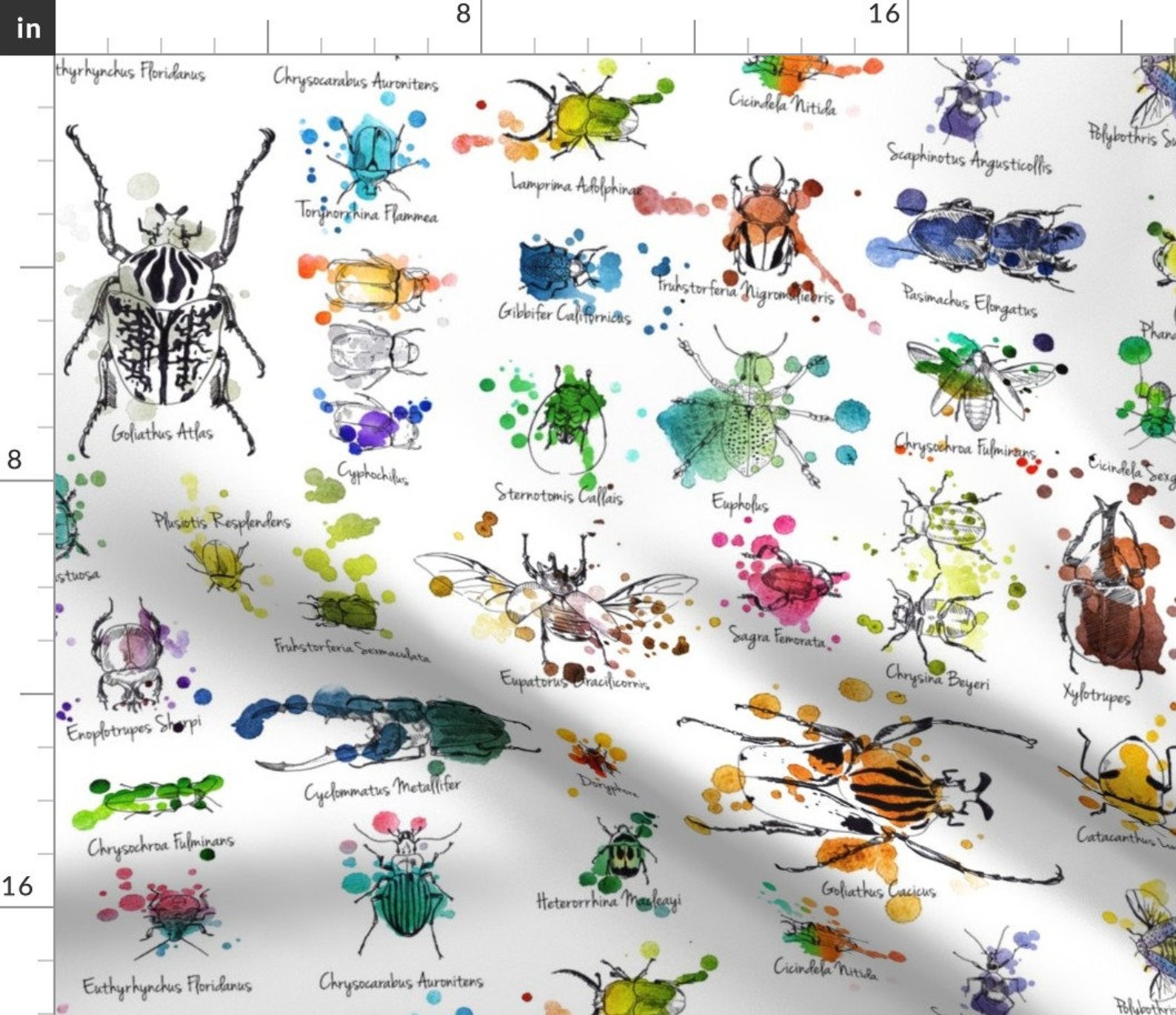 Entomology Fabric Beetle Collection by Juliesfabrics Biology Animal ...