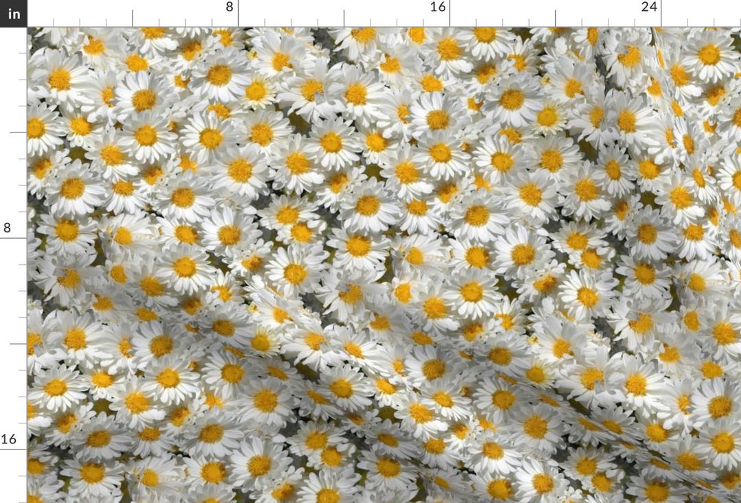 Daisy Fabric - Daisy Garden by Hannafate - Daisy Floral Flowers ...