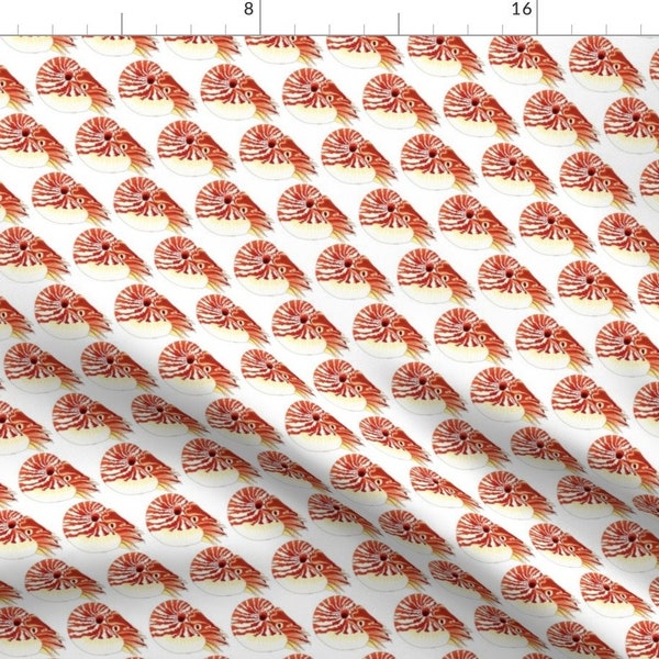 Nautilus Fabric - Etsy