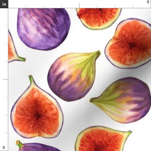 Fun Fig Fabric - Figs by Svetlana Prikhnenko - Watercolor Summer Fig ...
