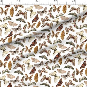 Vintage Moth Fabric - Moths on White by Jellymania - Moth Butterfly ...