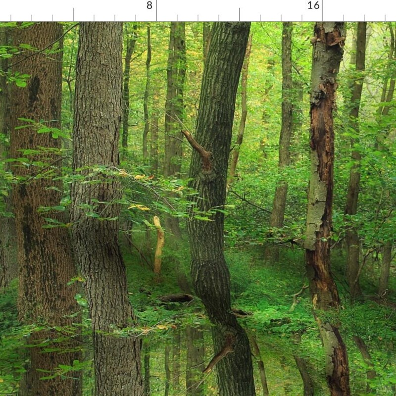 Forest Fabric - Etsy