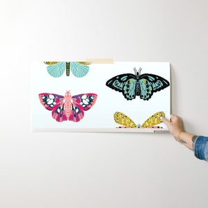Moth Wallpaper Moths // Butterflies Moth Design by Andrea Lauren Custom ...