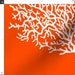 Coral Reef Fabric Coral Reef Orange by Honoluludesign - Etsy