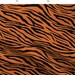 Animal Skin Fabric - Tiger Print by Thinlinetextiles - Animal Print ...