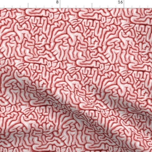 Brain Fabric High Contrast Brains by Sufficiency Anatomy - Etsy