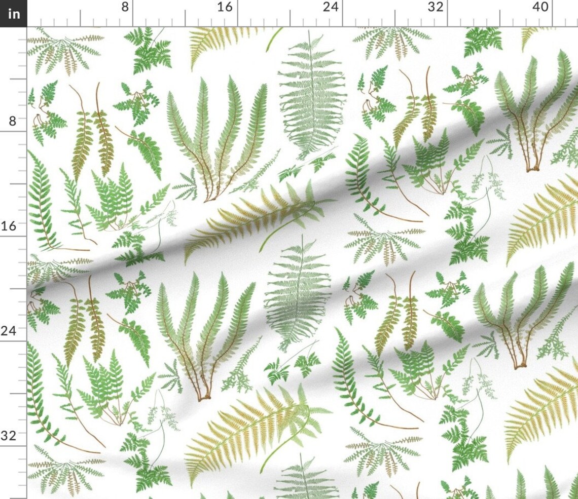 Botanical Ferns Fabric Fern Botanical White by - Etsy