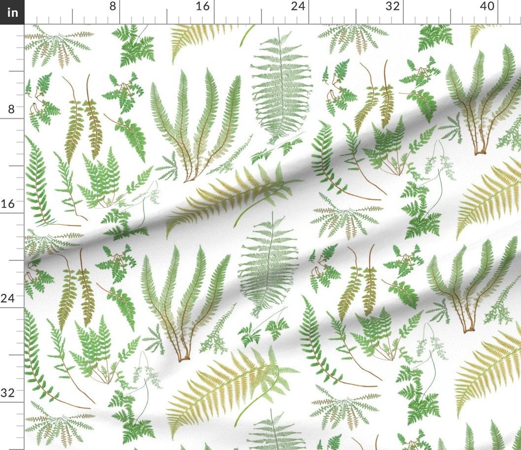 Botanical Ferns Fabric Fern Botanical White by | Etsy