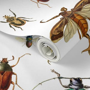 Bugs Wallpaper - Bugs Collection by Shopcabin - White Boys Insects ...