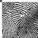 Black and White Fingerprints Fabric - Fingerprint Stripes Black White ...