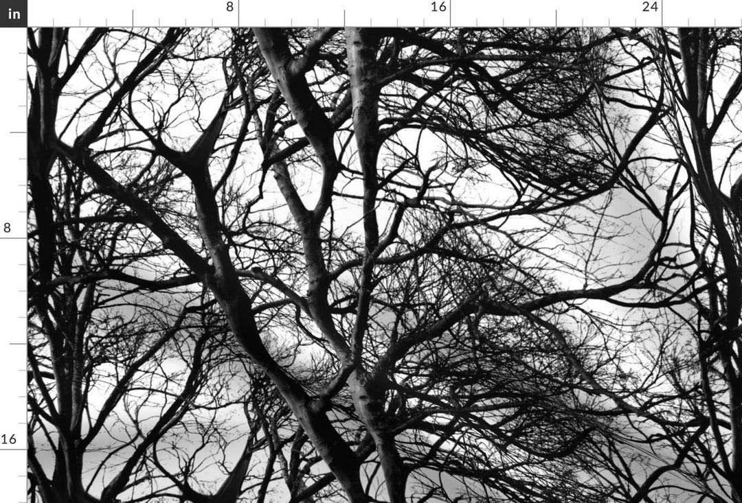 Winter Tree Fabric - the Tree Lace ~ Black and White by ...